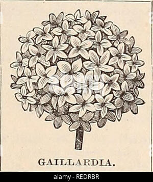 . Compliments of the season. Seeds Catalogs; Flowers Catalogs; Bulbs ...