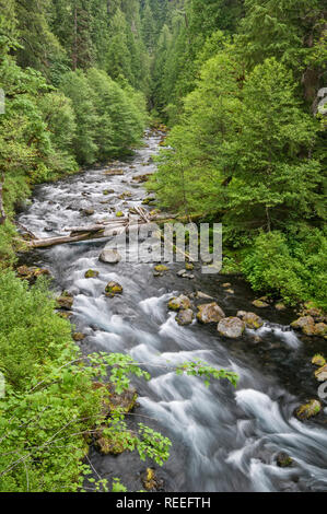 USA, Oregon, Santiam Pass, The Santiam River which is a tributary of ...