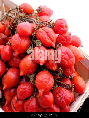 Tomatoes of Vesuvius joint in Piennolo, Naples Stock Photo - Alamy