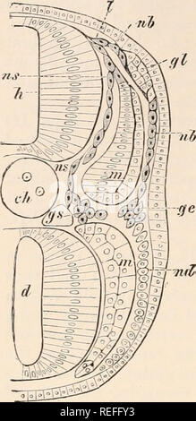 Two studies. Above probably an animal. Page 4 A calendar used as a ...