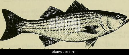 Aboard a research vessel in Lake Michigan off Milwaukee, research ...