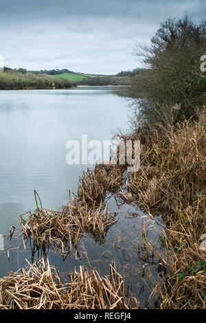 Porth Reservoir in Cornwall Stock Photo - Alamy