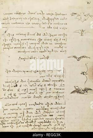 Codex on the Flight of Birds (Codice sul volo degli uccelli), by ...