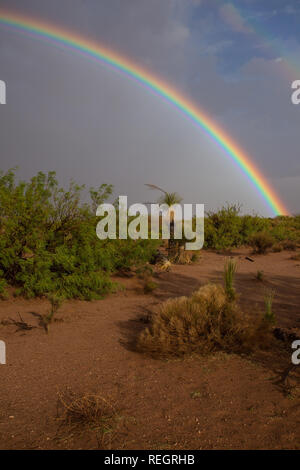 Rainbow over yucca plants in the Chihuahuan Desert, Southern New Mexico ...