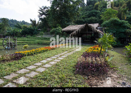 Sapa farm huts farm field in Hmong Thailand Stock Photo - Alamy