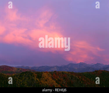 USA, Utah, Uinta-Wasatch-Cache National Forest, Little Cottonwood ...