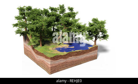 Cross-section model of forest soil including leaf litter, worms and ...