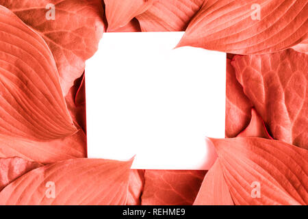 Top view of empty greeting card near dotted party caps and gift box on ...