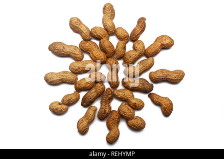 A collection of unpeeled peanuts lie in horizontal rows on an isolated ...