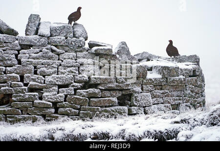 Snow in Nenthead, Cumbria after temperatures dipped below freezing ...