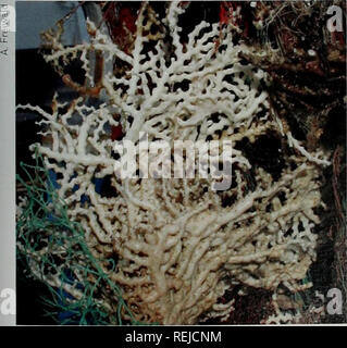 . Cold-water Coral Reefs: out of sight - no longer out of mind. UNEP ...