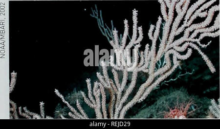 . Cold-water Coral Reefs: out of sight - no longer out of mind. UNEP ...