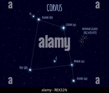 Corvus (The Raven) constellation, vector illustration with the names of ...