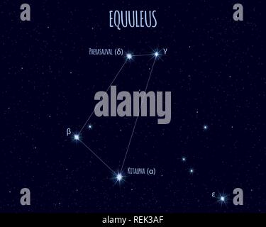 Equuleus constellation. Starry night sky. Cluster of stars, galaxy ...