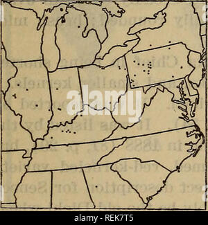 . Classification of American wheat varieties. Wheat; Wheat. Fig. 8 ...