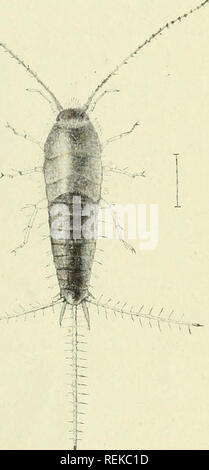 . Circular. Agriculture; Agriculture -- United States. SILVER SCURF, A ...