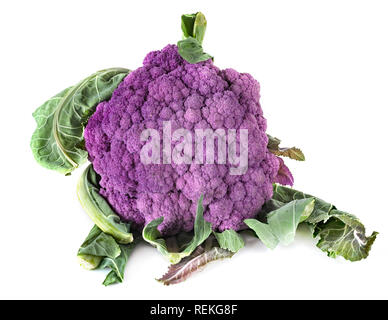 purple cauliflower cabbage in front of white background Stock Photo - Alamy