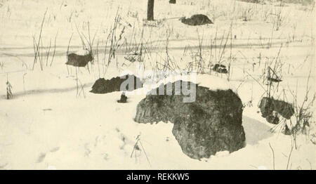 . Clearing land of rocks for agricultural and other purposes ...