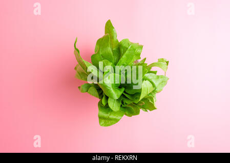 a bundle of fresh spinach on pink background healthy eating concept ...