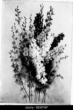 Pink flowers in Simi Stock Photo - Alamy