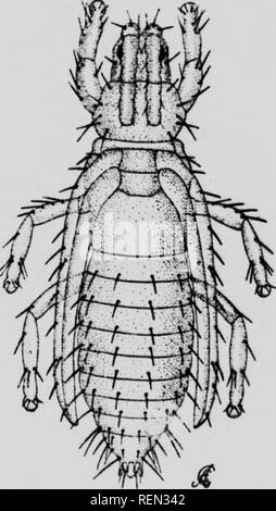 . The pear thrips (Taeniothrips inconsequens Uzel) and its control in ...