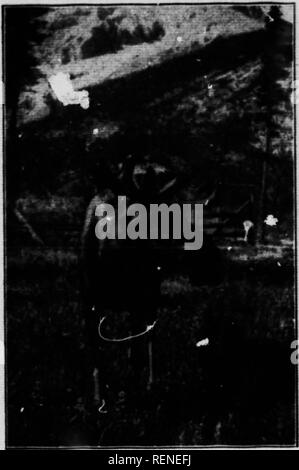 South shore of a small lake. Alaska Task Force Photographs Stock Photo ...