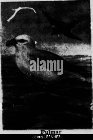 The Hundred Islands off the north coast of the Philippines. [automated ...