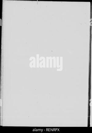 . Practical anatomy of the rabbit [microform] : an elementary ...