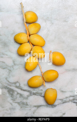 fresh dates, Bahri dates, from Namibia Stock Photo - Alamy