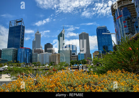 Colorful blooming flowers in Perth botanical garden with its collection ...
