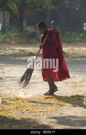 Young Buddhist monk sweeps, Bagan, Burma, Pagan, Myanmar Stock Photo ...