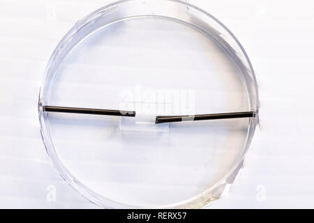 Close up of microscale electrolysis equipment Stock Photo - Alamy