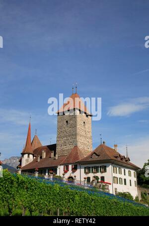 Spiez Castle in Spitz by Lake Thun, Niedersimmental, canton of Berne ...