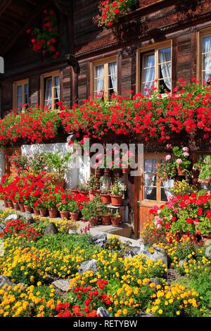 farmhouse Bernese Oberland flower window Brienz chalet geraniums timber ...