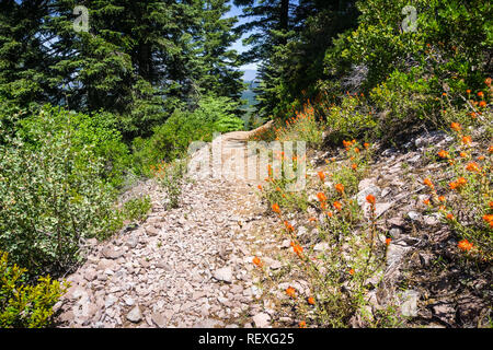 Hiking trail to the top of Black Butte, close to Shasta Mountain ...