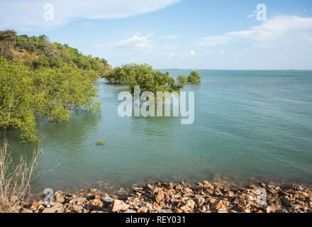 Natural rock on the Timor Sea coastline at the Casuarina Beach during ...