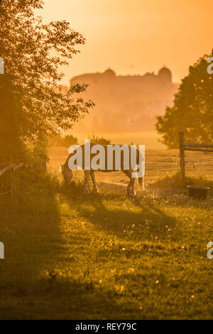 Skyline of the city of Uppsala at sunset, Sweden, Scandinavia Stock ...