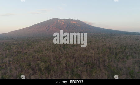 Tropical forest on the mountain at sunset in autumn. Colorful landscape ...