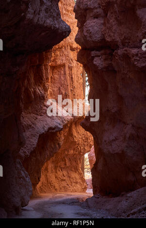 Sunset Point Elevation Sign, Bryce Canyon National Park, Texas Stock ...