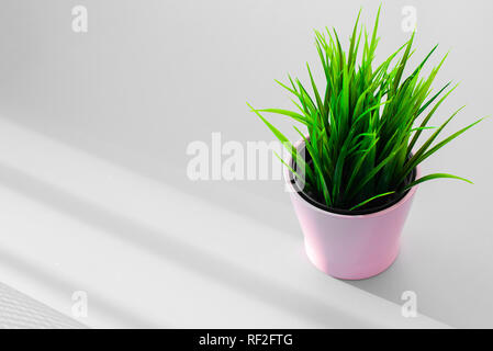 Pink pot with green juicy grass on the office desk Stock Photo - Alamy