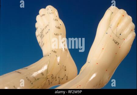 Medical acupuncture model of human feet on yellow background Stock ...