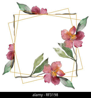 Red camelia floral botanical flower. Wild spring leaf wildflower ...