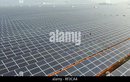 Workers walk by solar panels in the Envision Ordos Modern Energy ...