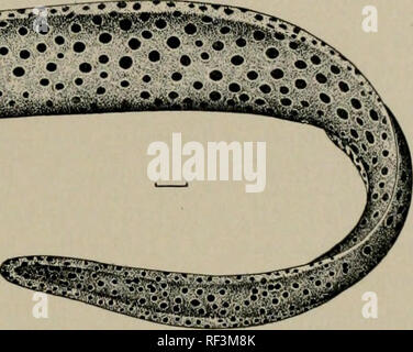 The Island Formosa and the Pescadores Stock Photo - Alamy