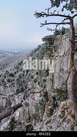 Weissenbach an der Triesting: mount mountain Peilstein, rocks, trees in ...