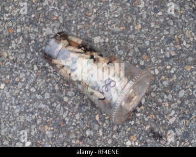 Disgusting litter seen on a local NJ parking lot Stock Photo - Alamy