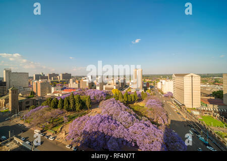 A view of Harare's CBD in Jacaranda season Stock Photo - Alamy