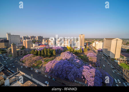 A view of Harare's CBD in Jacaranda season Stock Photo - Alamy