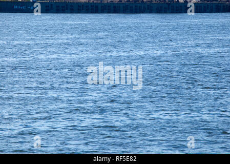 Boat fenders on a quay Stock Photo - Alamy
