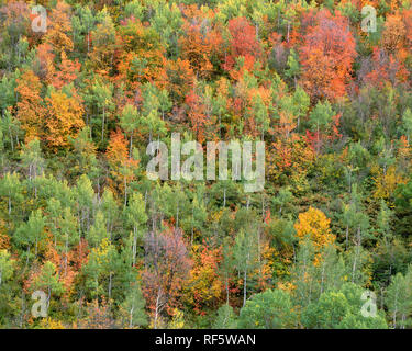 Mountain Pass in Uinta-Wasatch-Cache National Forest, Utah Stock Photo ...